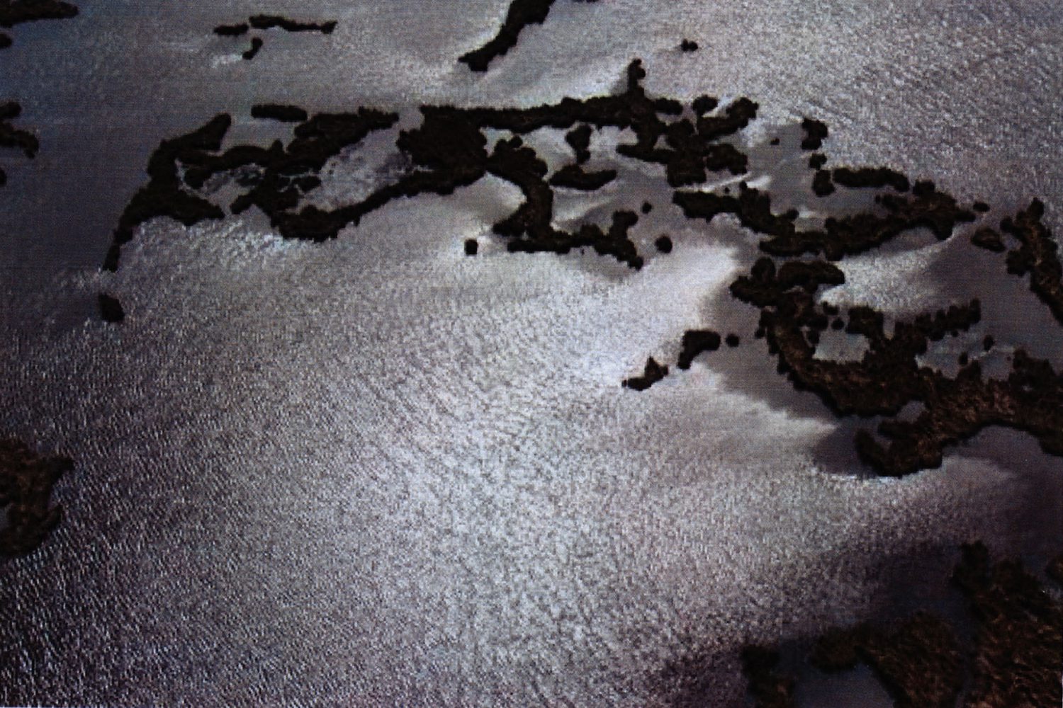 Danae Stratou – U.S. Department of State